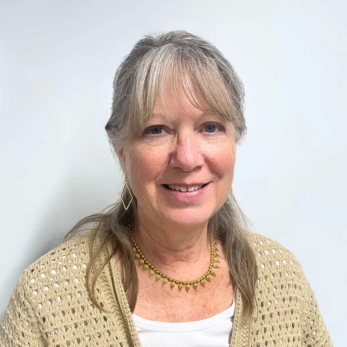 About Us - VHO, Inc.